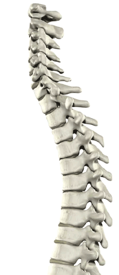 2nd Opinion – Spine and Disc Center of Washington